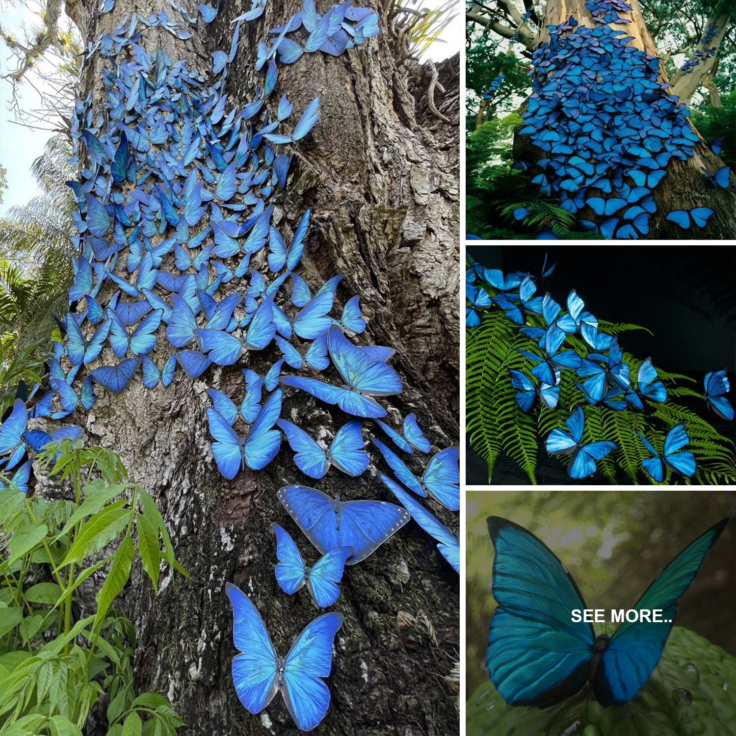 The Wondrous Mutant Butterfly That Can Change Colors at Will and Glows ...
