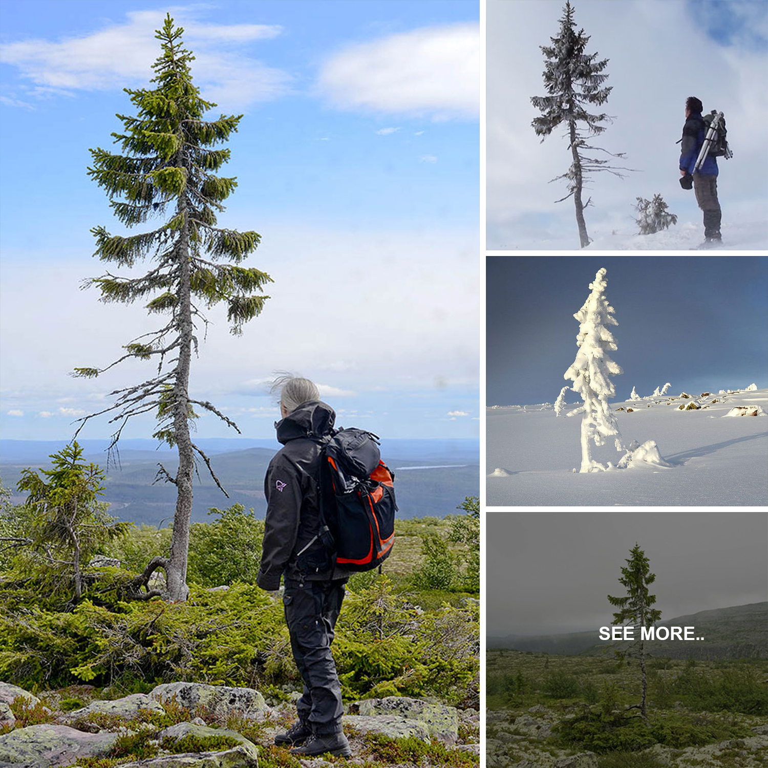 It may not be much to look at but at 9,000 years old, this is the world ...