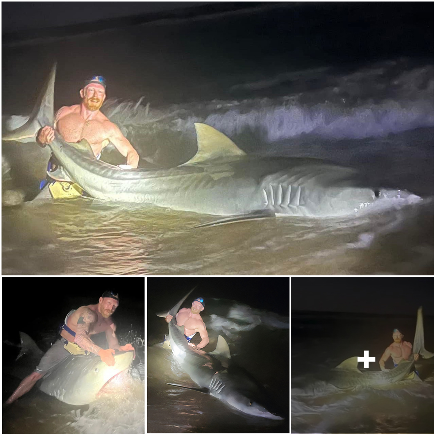 Dad wrestles 12ft monster tiger shark to shore on fishing trip with son ...